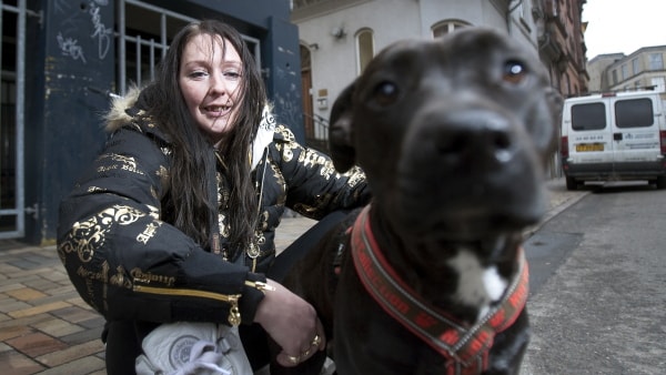 Ejer: Min kamphund er den fredeligste hund | fyens.dk