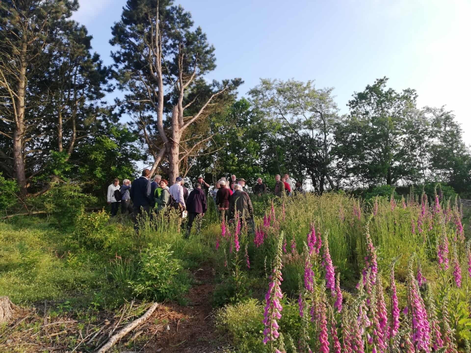 Naturstyrelsen viste rundt i Haastrup Bjerge | ugeavisen.dk