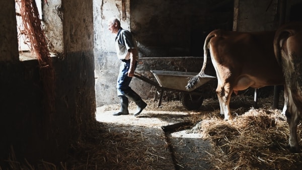 Peter driver landbrug uden skyggen af teknologi: - Hold op en idiot og ...