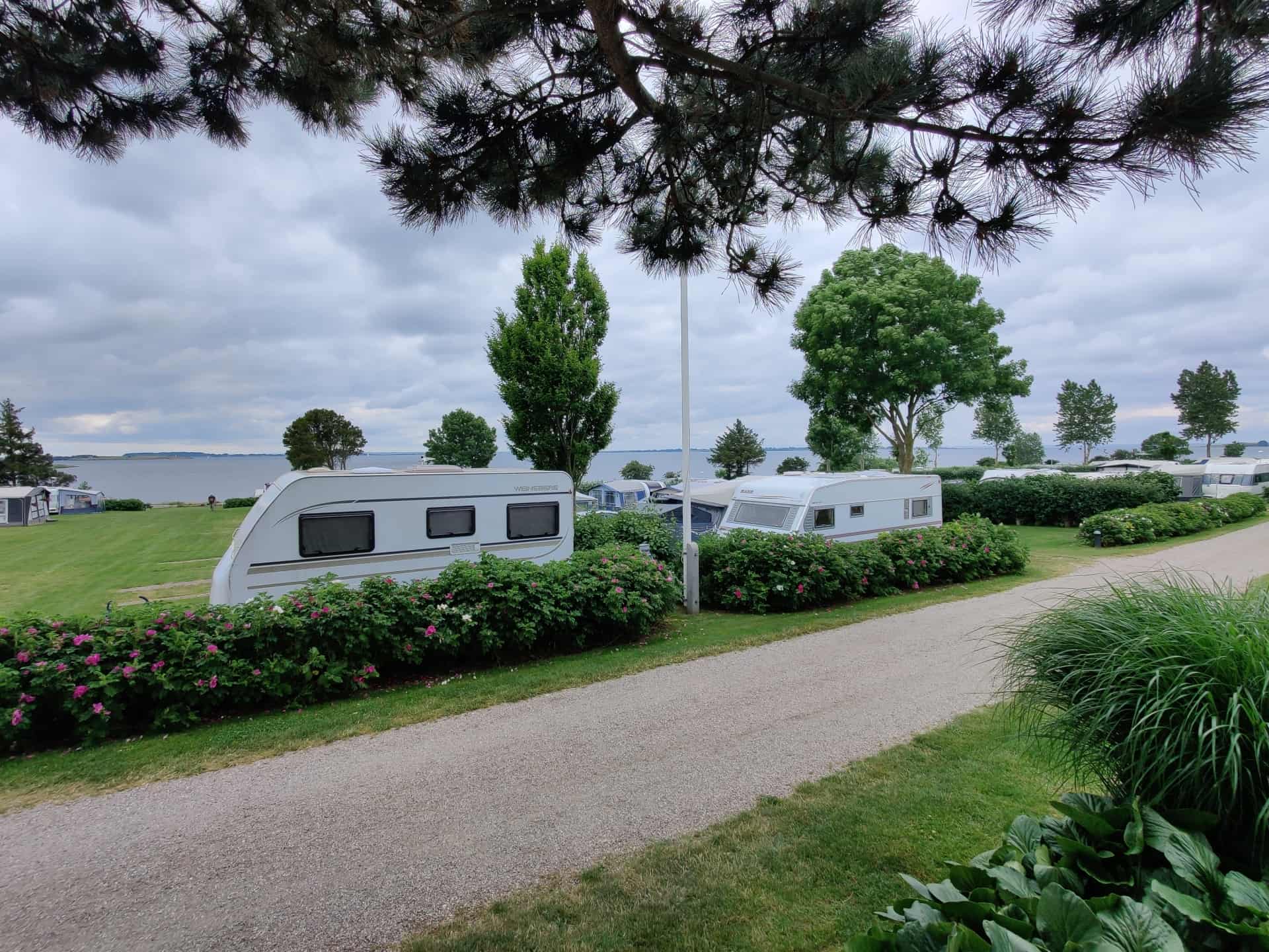 Campingpladser tæt på fuldt bookede: - Jeg tror, folk er mere trygge ...