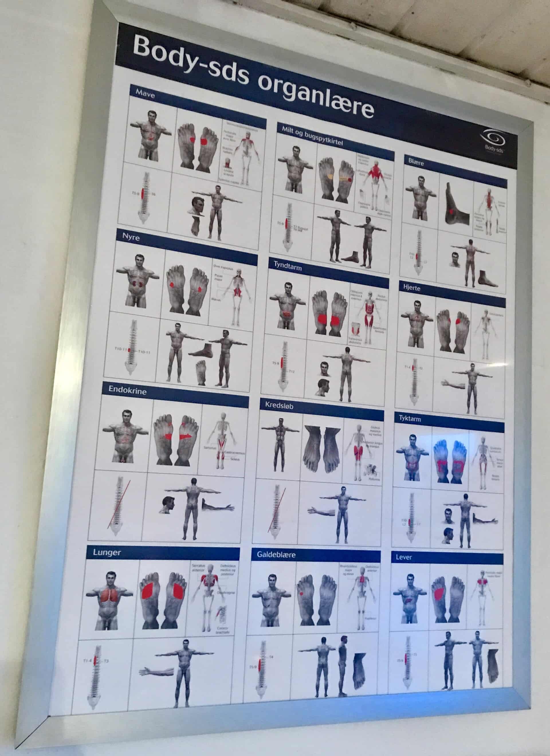 Marias kulturoplevelser: Fik en omgang body SDS-behandling | ugeavisen.dk