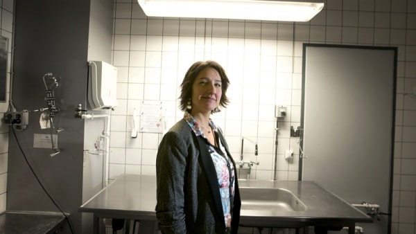 Kulturkøkkenet har brug for borgernes hjælp | ugeavisen.dk Kulturkøkkenet har brug for borgernes hjælp | ugeavisen.dk
