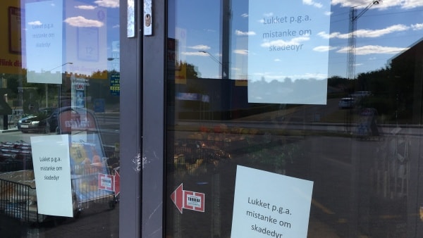 Fakta-butik er lukket efter rotte-besøg på loftet | stiften.dk