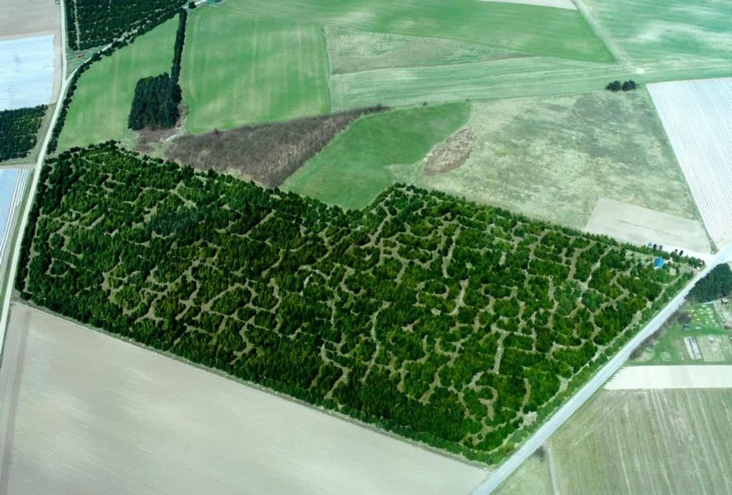 Labyrinter: Far vild i påsken | helsingordagblad.dk