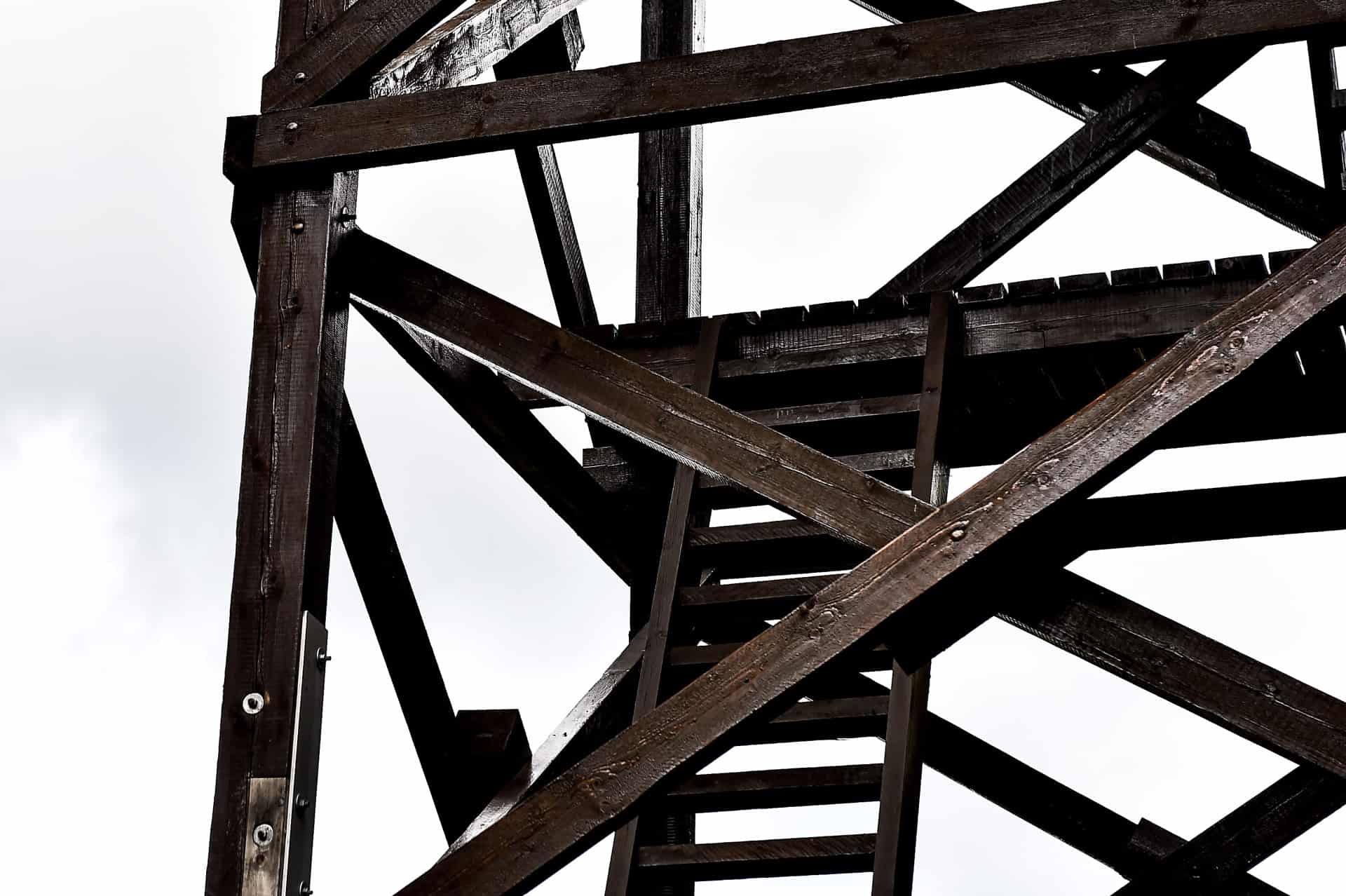 Gæt med: Hvad er dette? | jv.dk