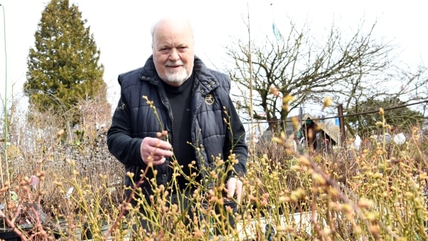 John driver havecenter på 45. år: - Jeg håber at kunne holde til jeg ...