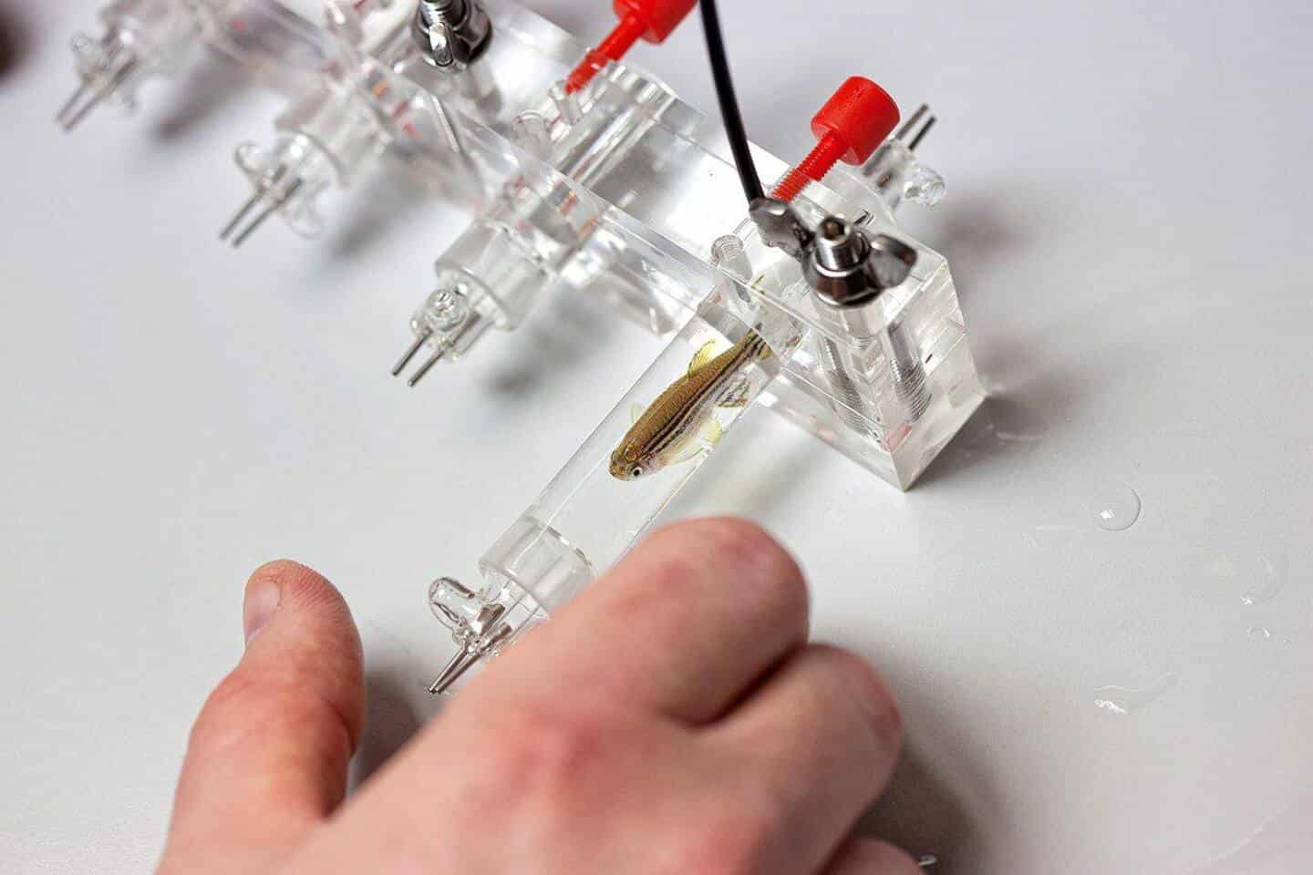 10 år med kraftig vækst hos Loligo Systems | ugeavisen.dk