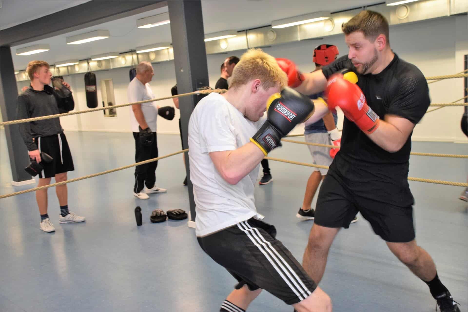 Fra bølle til bokser: Når jeg bokser, dummer jeg mig ikke | ugeavisen.dk