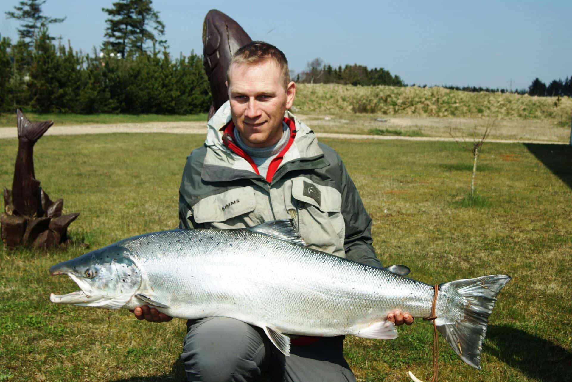 Kæmpe laks fanget i Skjern Å | dbrs.dk