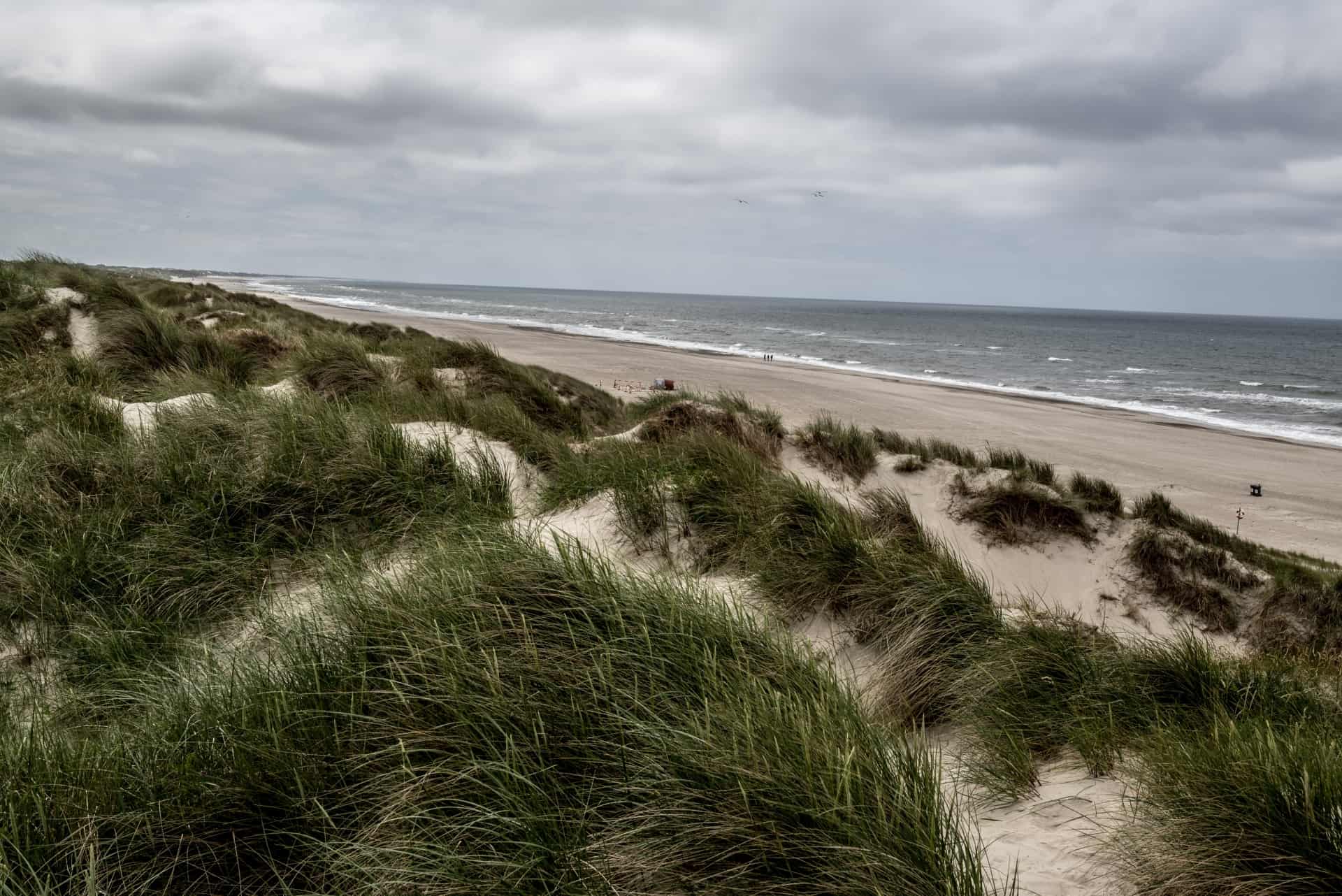 Guide til hemmelige strande: Her kan du opleve naturen uden hunde, køre ...