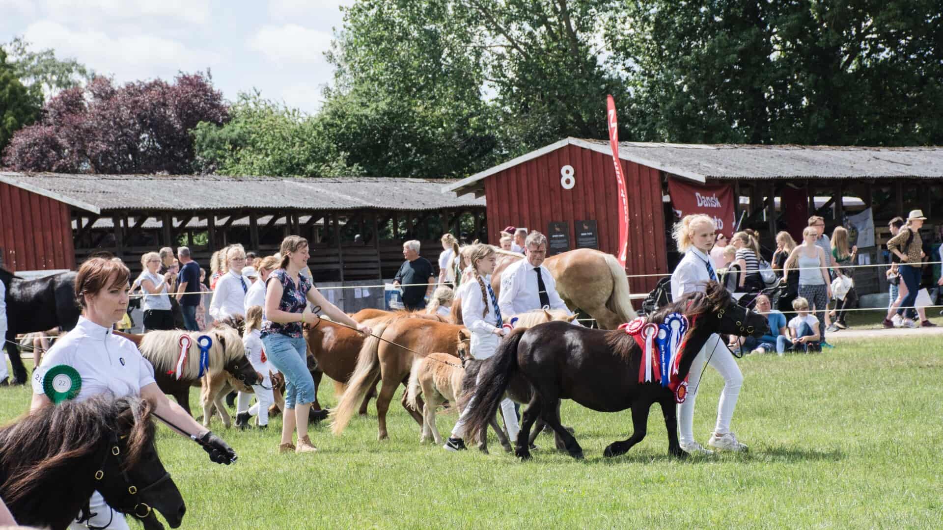 Se billederne: Store maskiner, prægtige dyr og legende børn | ugeavisen.dk