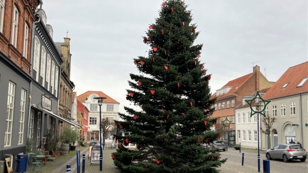 Stort juletræ til byens torv søges | ugeavisen.dk