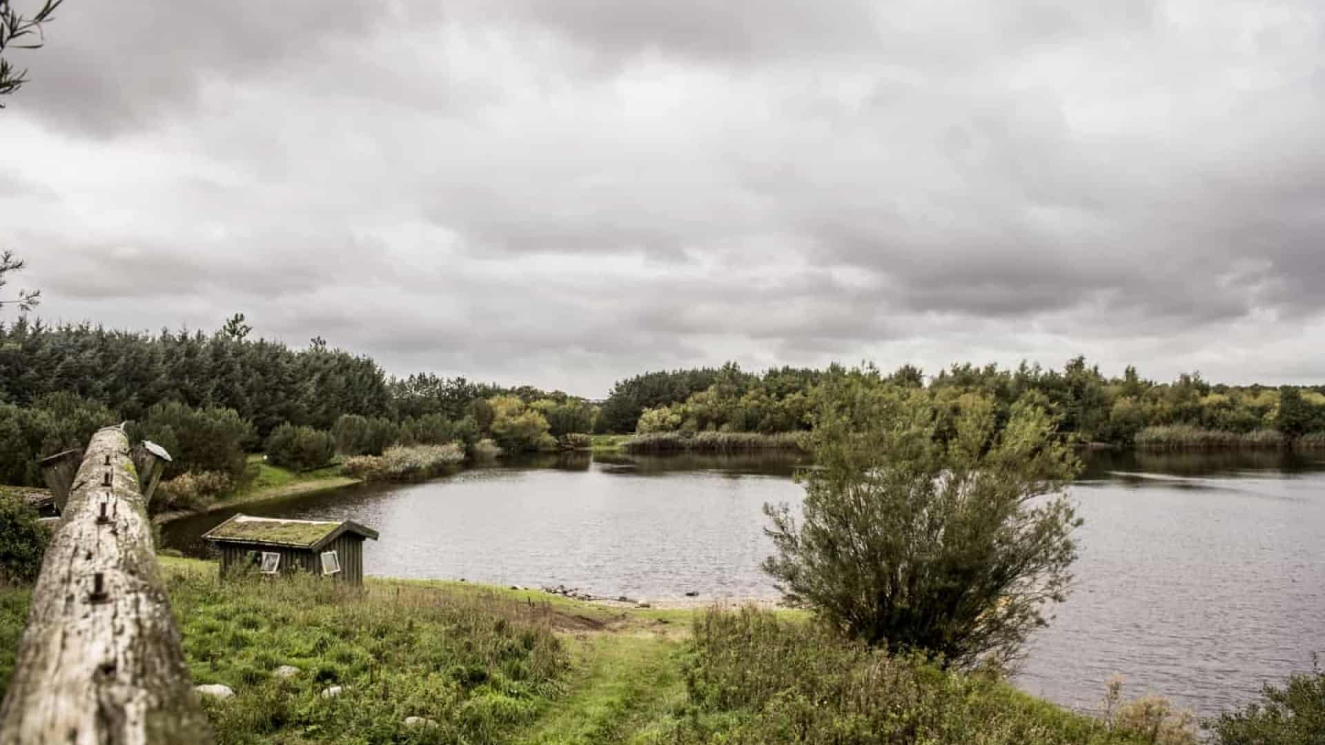 Naturens Dag ved Hedensted Søerne | ugeavisen.dk