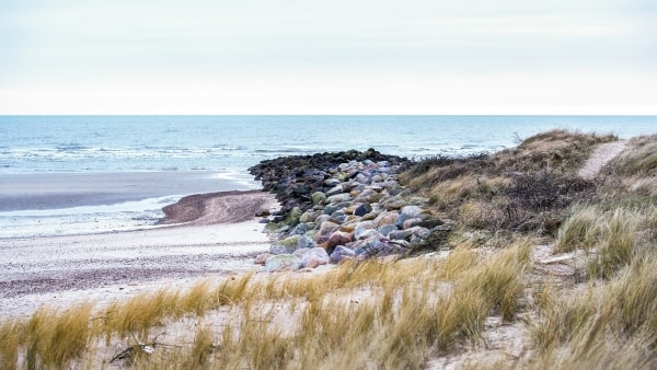 Stem på partier der vil bevare naturen i Blåvand | ugeavisen.dk Stem på partier der vil bevare naturen i Blåvand | ugeavisen.dk