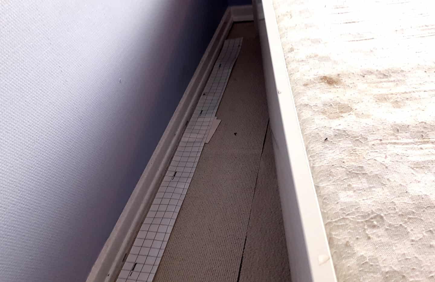 Verdens farligste edderkop kravlede ud af banan: Den er stadig i ...