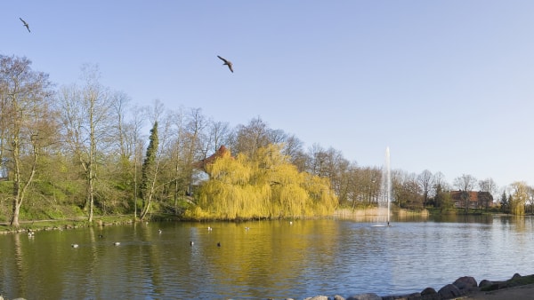 SØNDERBORG: Mølledammens nye springvand indvies | ugeavisen.dk