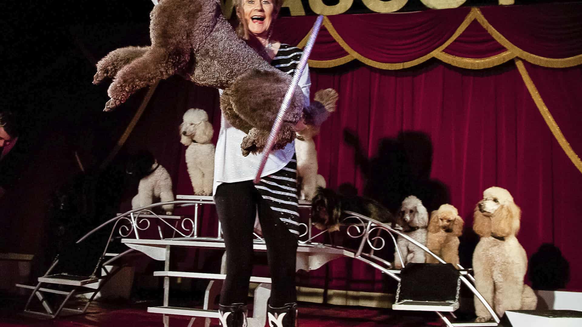 Cirkusdirektør Marianne Deleuran fortæller om sit liv med Cirkus Mascot ...