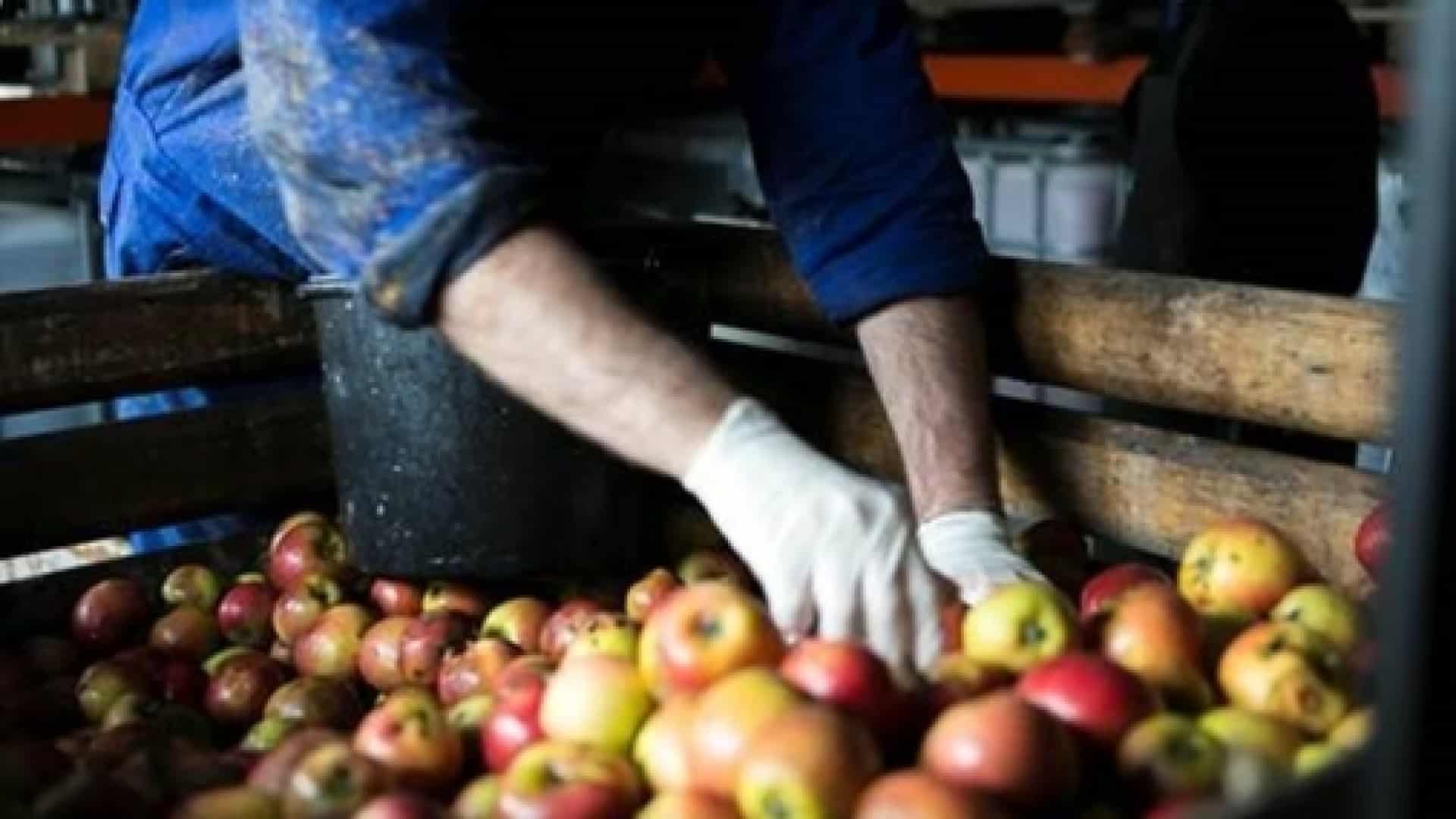 Ny butik vil forvandle skrald til mad | ugeavisen.dk