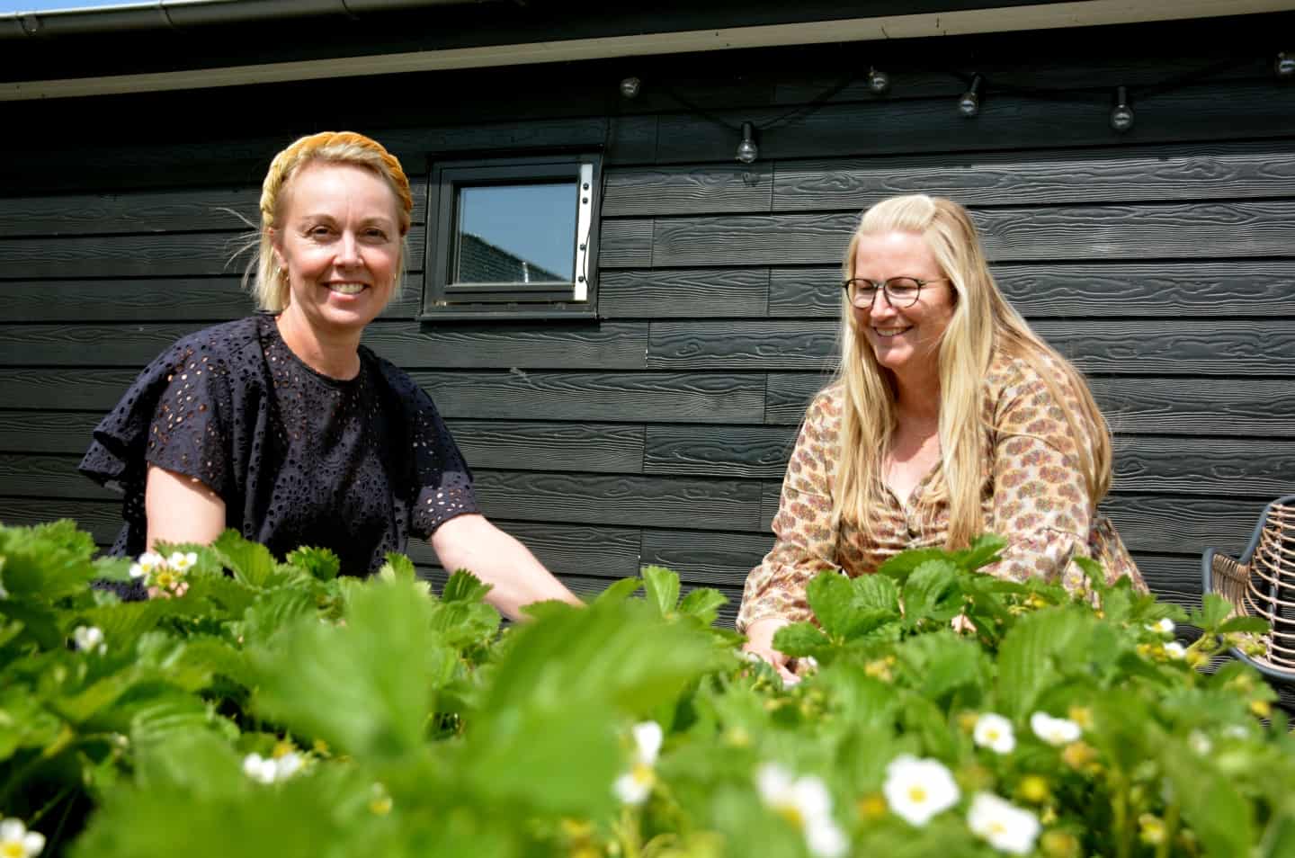 Mangel på en hæk fik det gode naboskab til at vokse: - Jeg græd, da Camilla fortalte, at hun ...