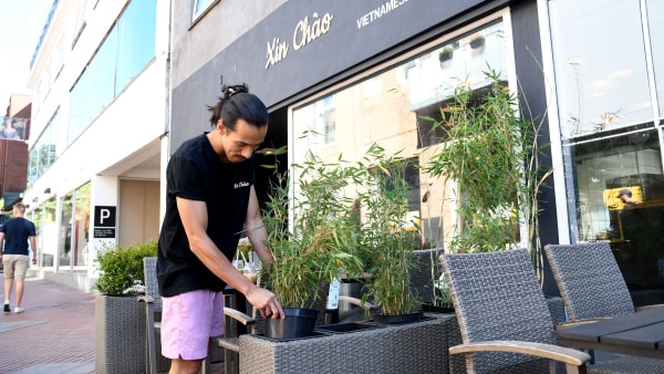 Nyt spisested åbner i Kolding: Vietnamesisk med masser af smag ...