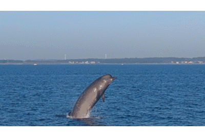 Hospitaler udsættes for flere angreb af cyberkriminelle | avisendanmark.dk